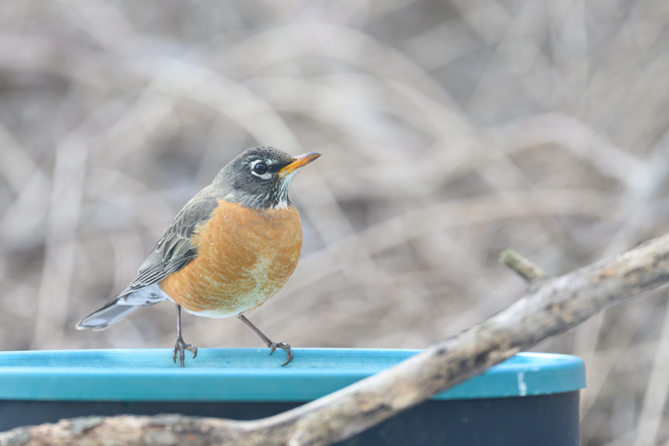 Through the Window | dbifulco | Blipfoto