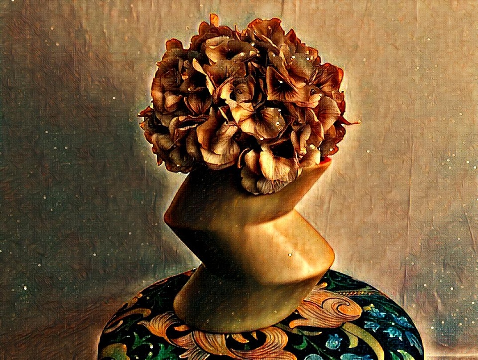 All Ready | mambo | Blipfoto