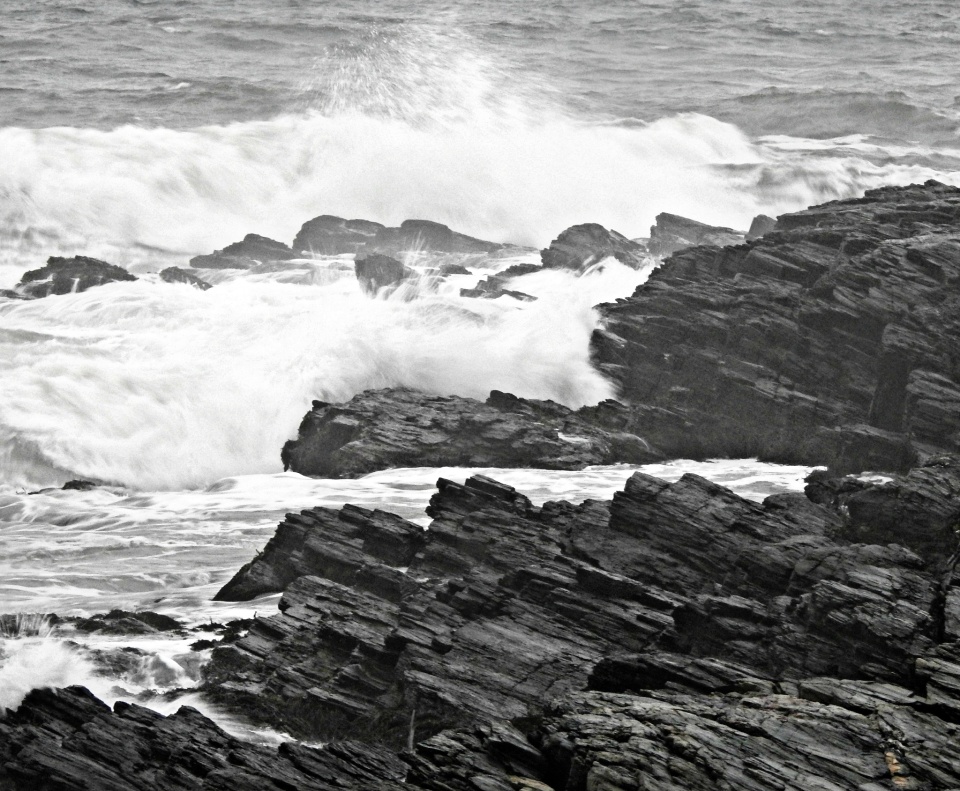 Newport Surf | DDW | Blipfoto