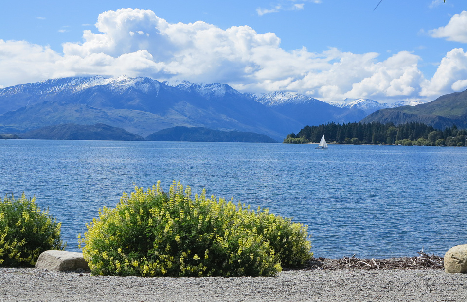 A Beautiful Sunny Afternoon | acyclinggranny | Blipfoto