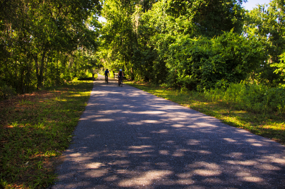 Perfect Day for a Ride | bugsman | Blipfoto