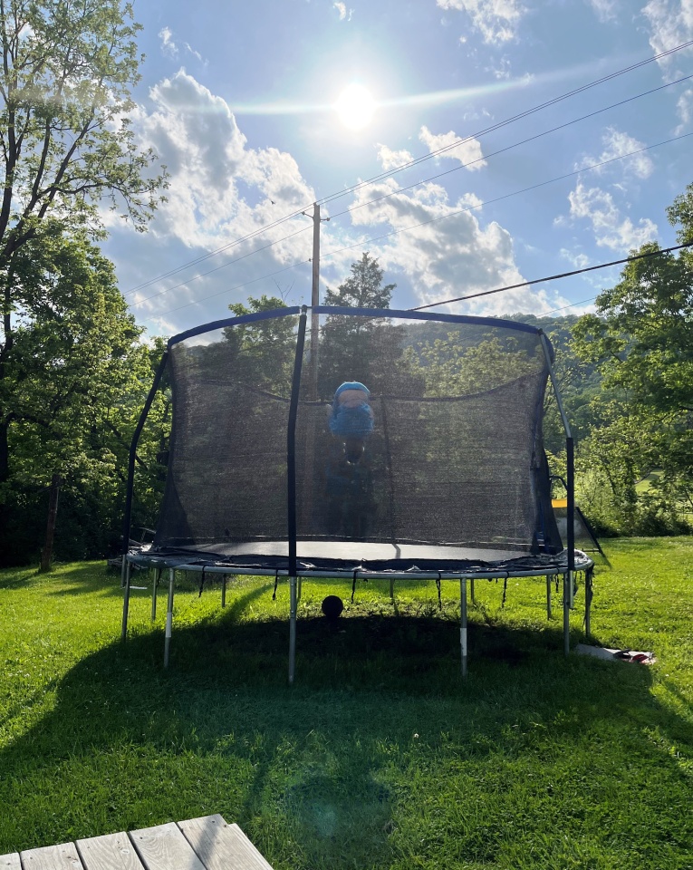 Perfecting Tricks | TurtleBug | Blipfoto