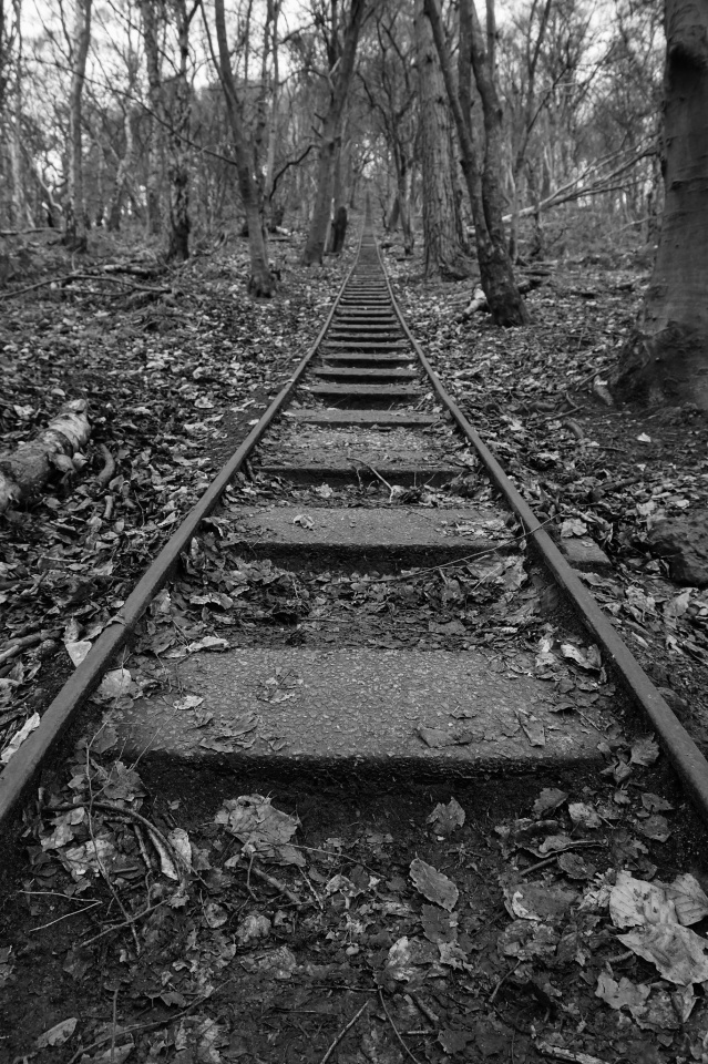 Bulkeley Hill Railway | kwchas | Blipfoto