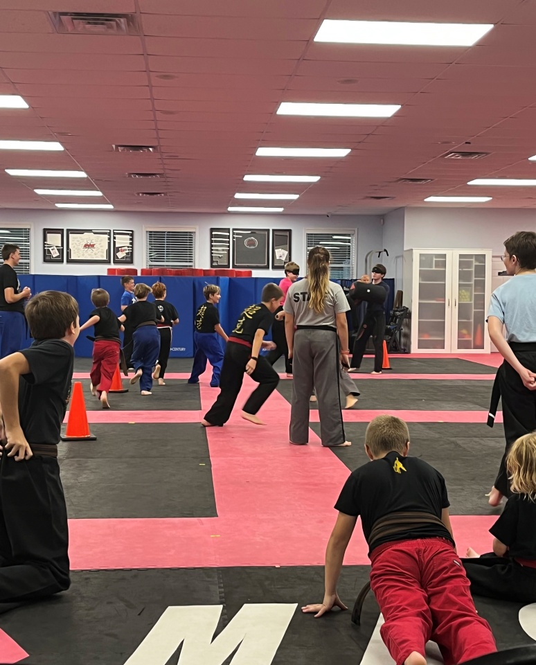 Dodge The Blackbelt | TurtleBug | Blipfoto