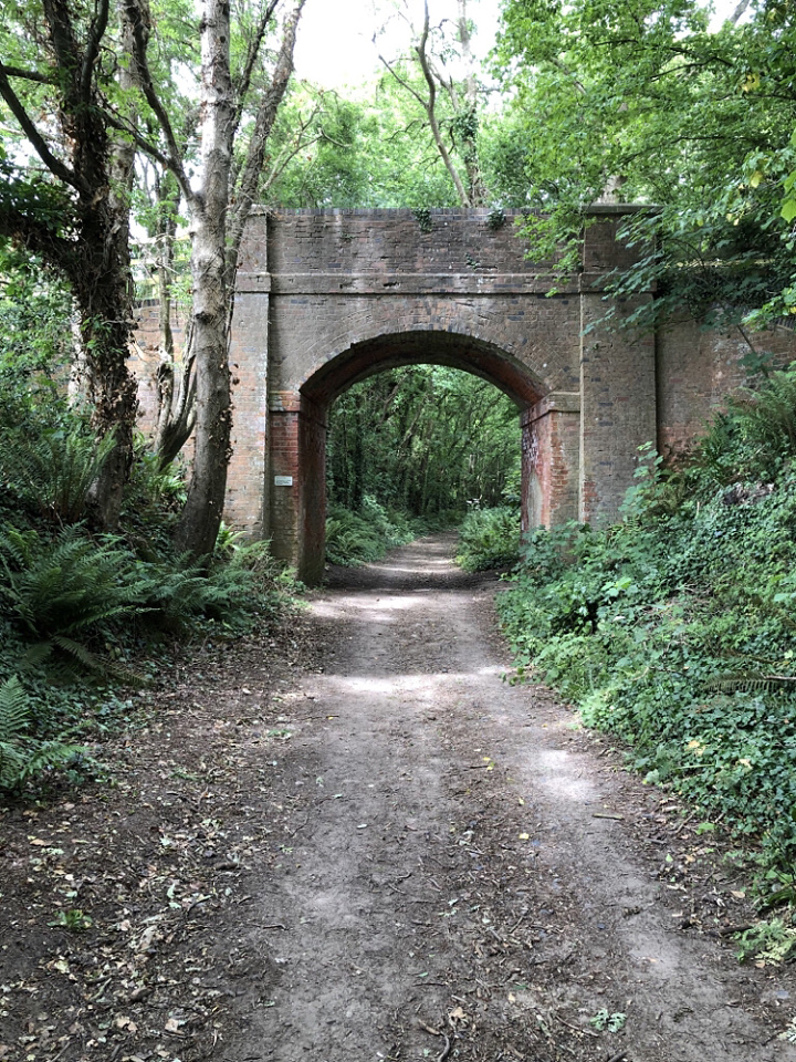 The old Feniton to Sidmouth branch railway track. | yardoverland | Blipfoto