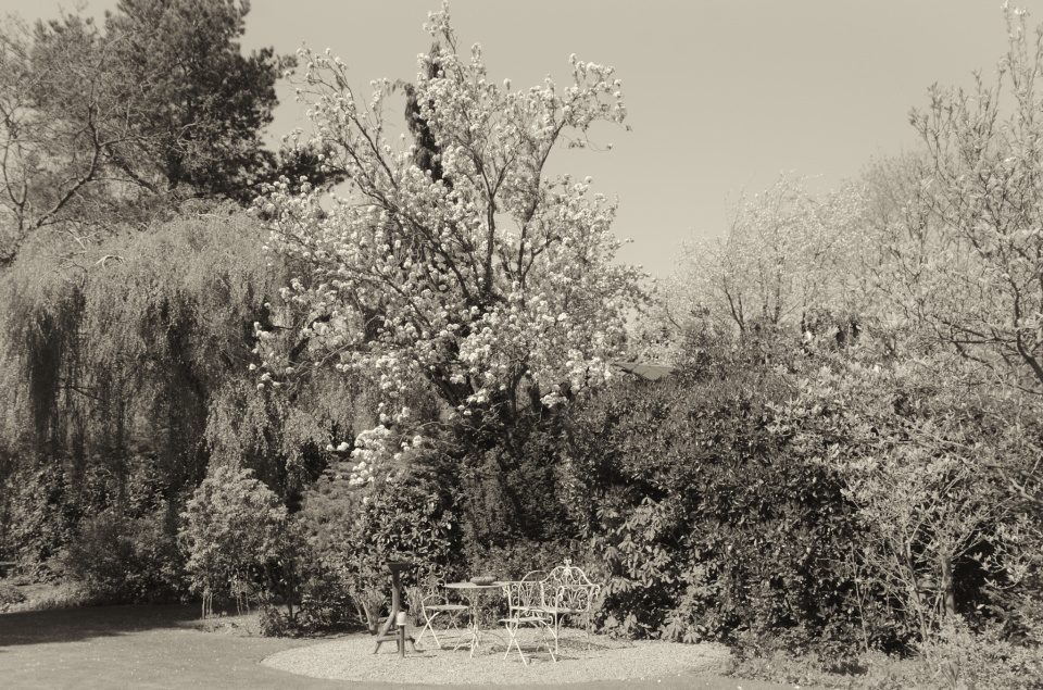 The here and now | Ingeborg | Blipfoto