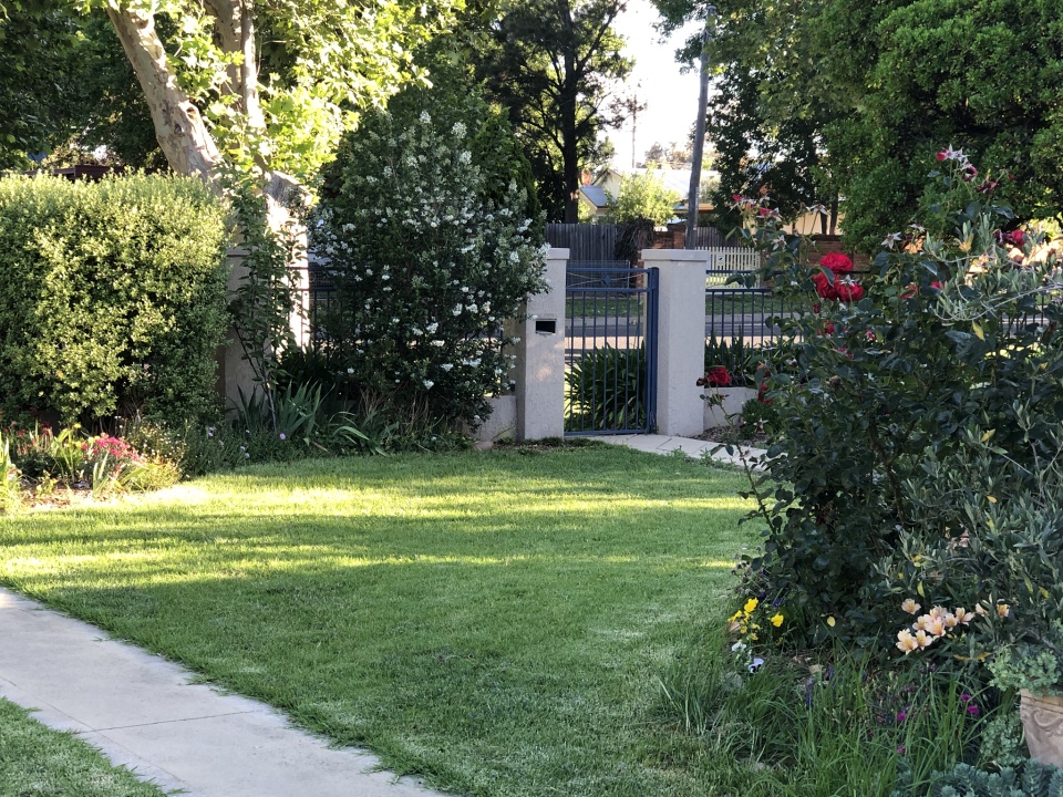 Front garden | 59 | Blipfoto