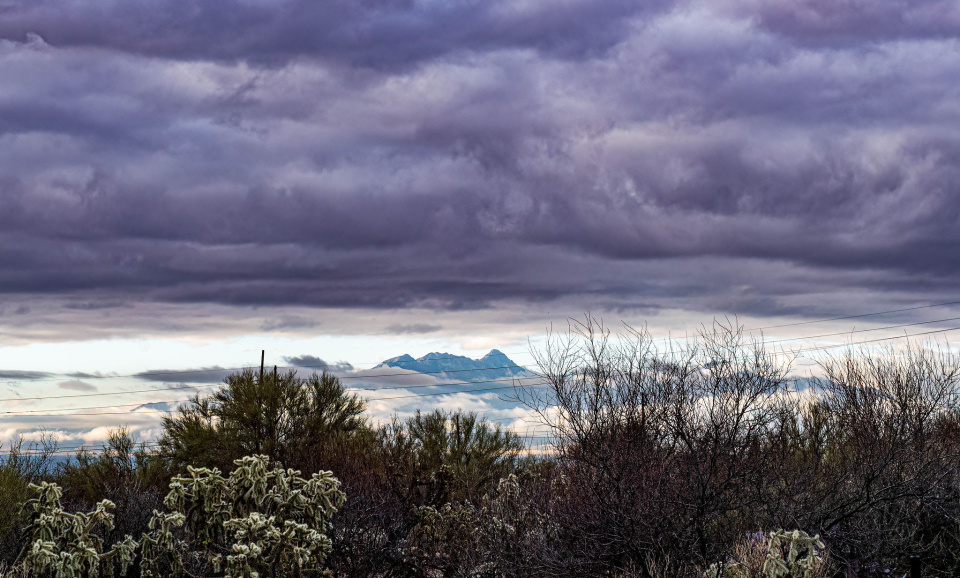 Rain | laurie54 | Blipfoto