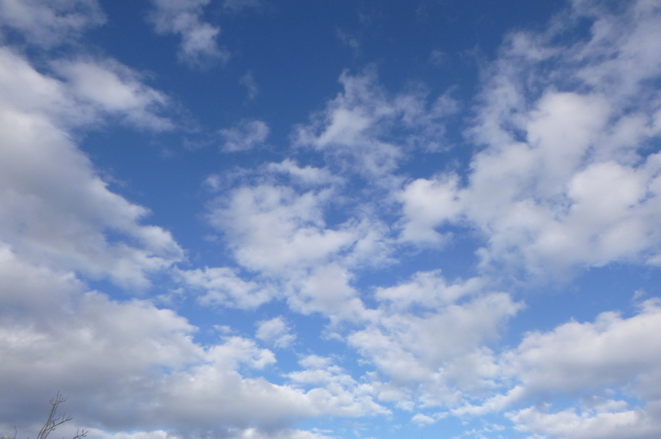 Sky | rat | Blipfoto