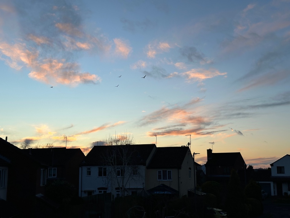 Sunset | Amanda_T | Blipfoto