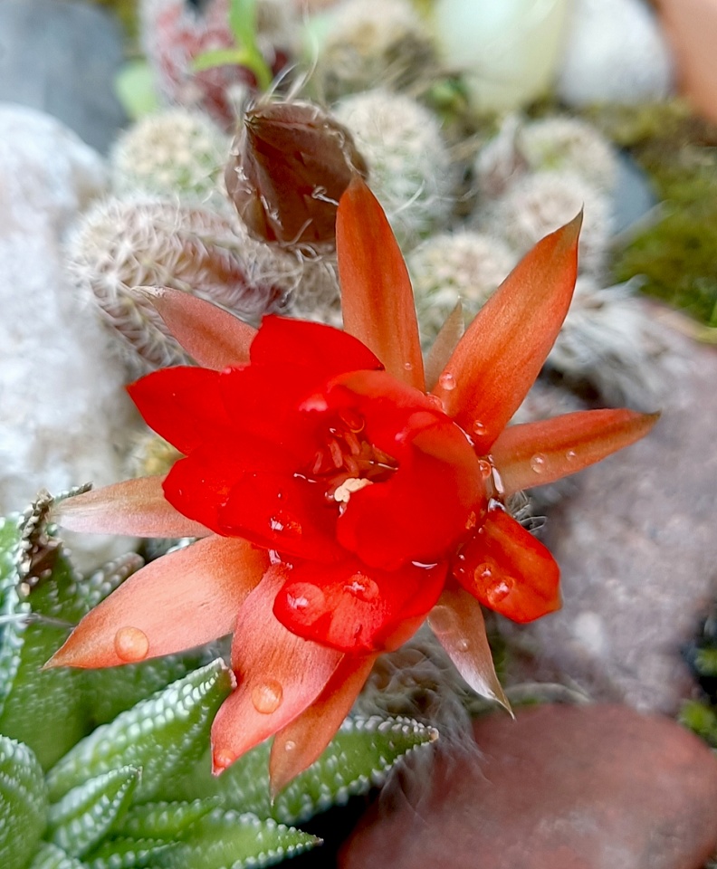 Braving the Stormy Day | JMK | Blipfoto