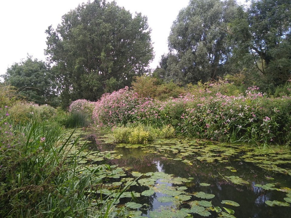 St Neots Riverside Walk | Gloriapatricia | Blipfoto