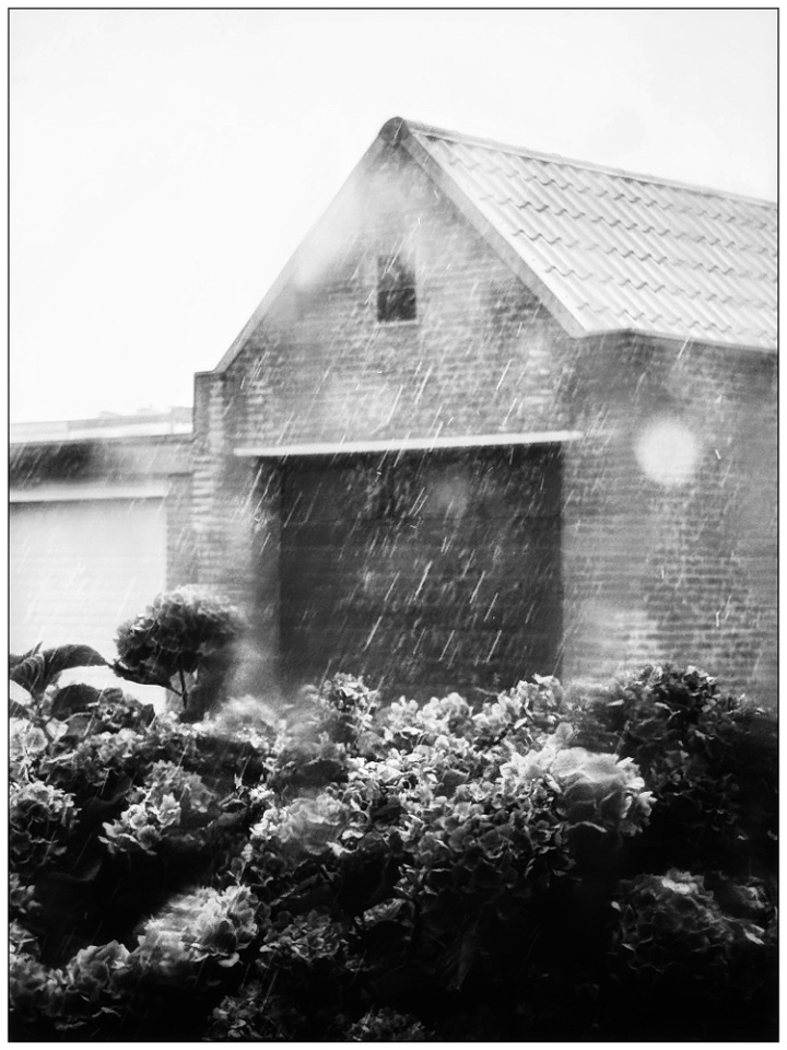 Another rainy day | Ilja | Blipfoto