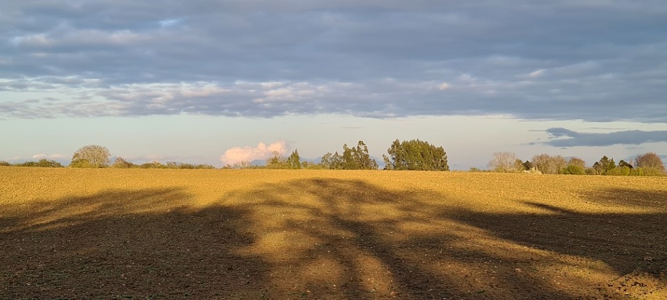 Evening Shadows | LizMBpics | Blipfoto