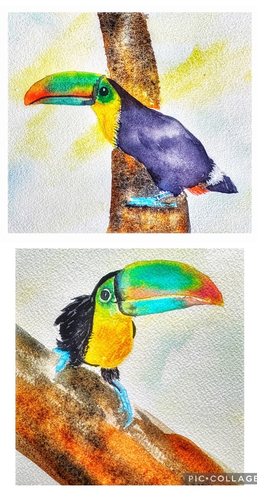 Two toucan... | Damnonii | Blipfoto