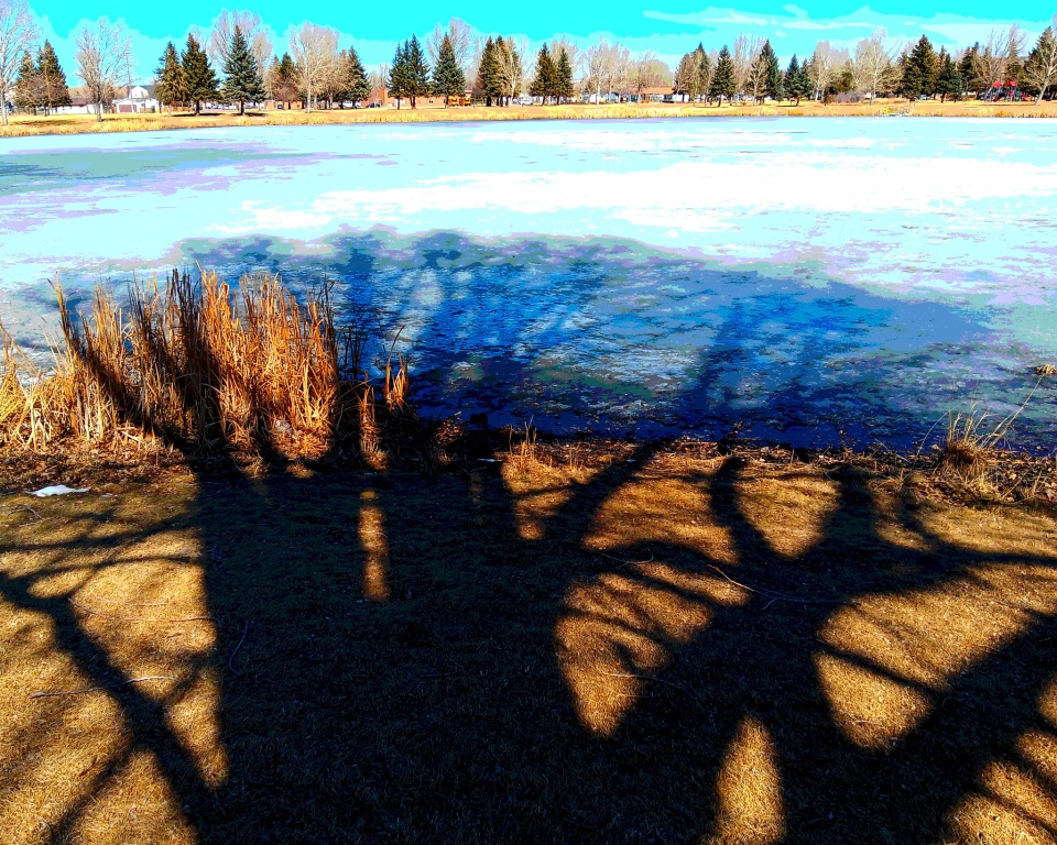 Shadows on ice | TiciaS | Blipfoto