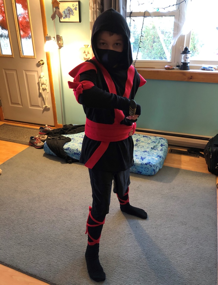 NINJAAAAAAAAAAAAAAA | TurtleBug | Blipfoto