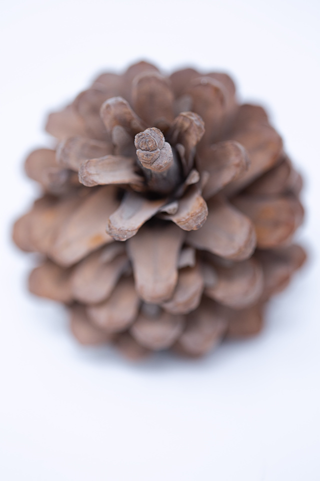 What goes around... | Damnonii | Blipfoto