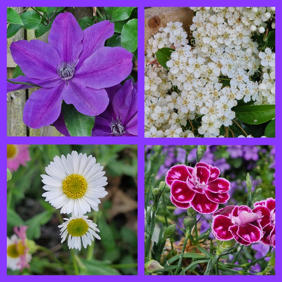 Orlap | RP1 | Blipfoto