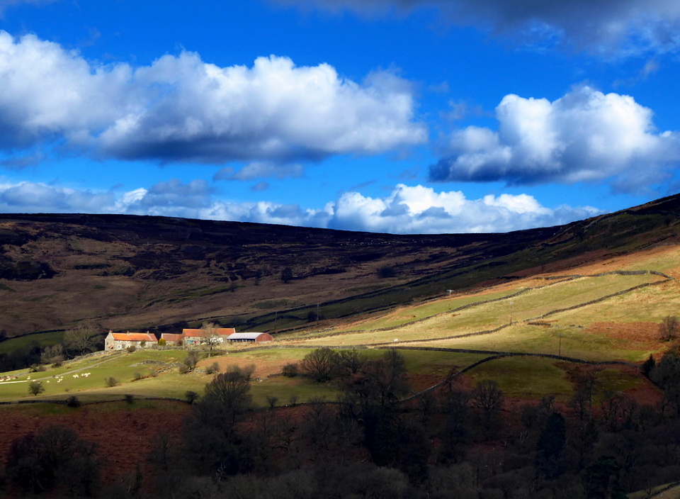 The Northern end of Farndale | Oldgroaner | Blipfoto