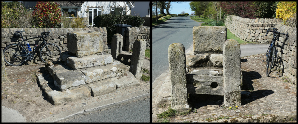 Clint Cross | DigitalDave | Blipfoto