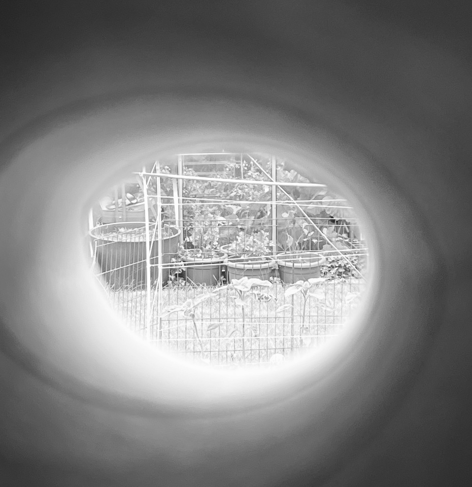 Planning | Pinkhairedlady | Blipfoto