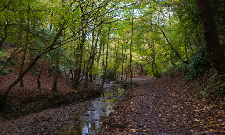 Trym in Autumn | Kernow | Blipfoto