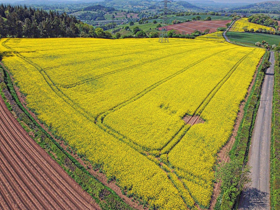 Lines | BobsBlips | Blipfoto