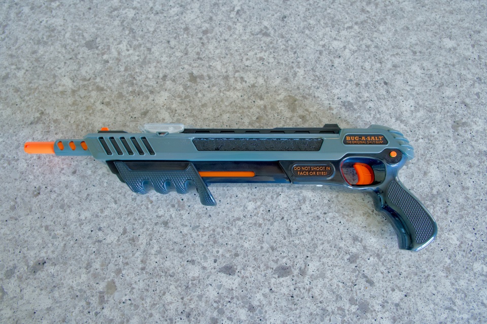 Let battle commence! | AndrewNZ | Blipfoto