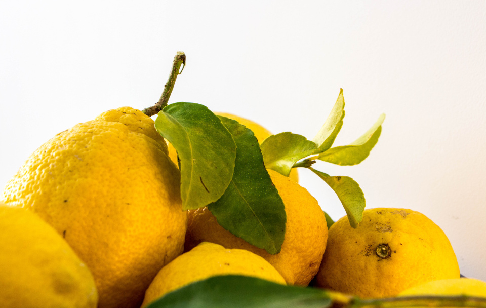 Luscious Lemons | Hamp5on | Blipfoto