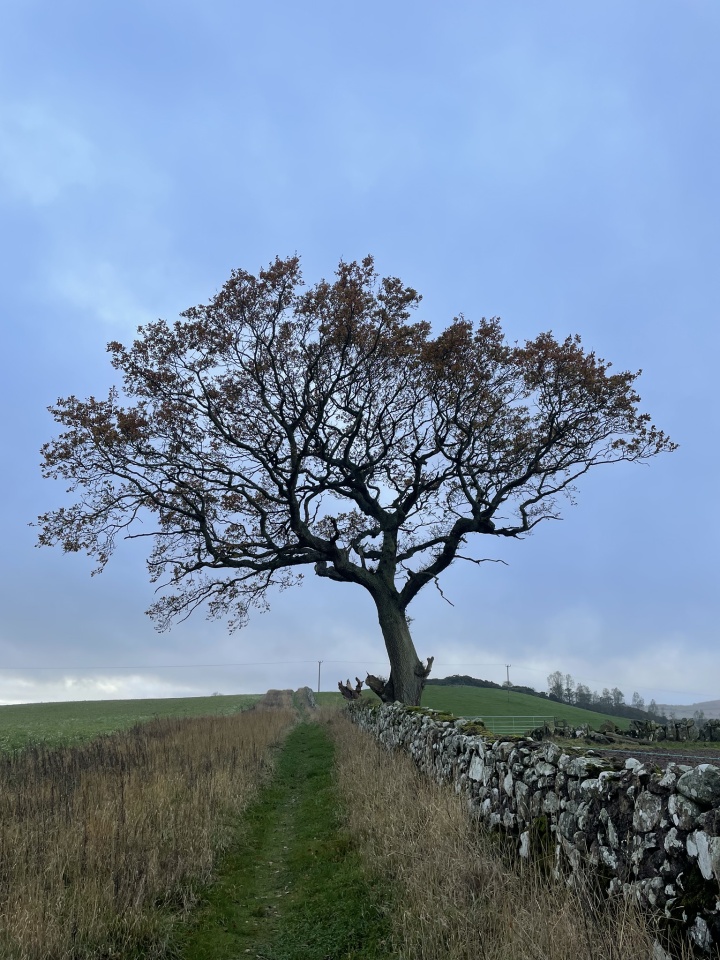 Pilgrim Path | Ayephone | Blipfoto