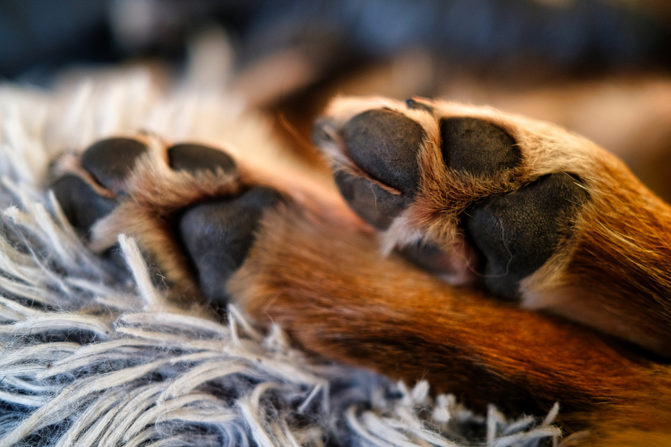 Such a rainy day! I... | Reike | Blipfoto