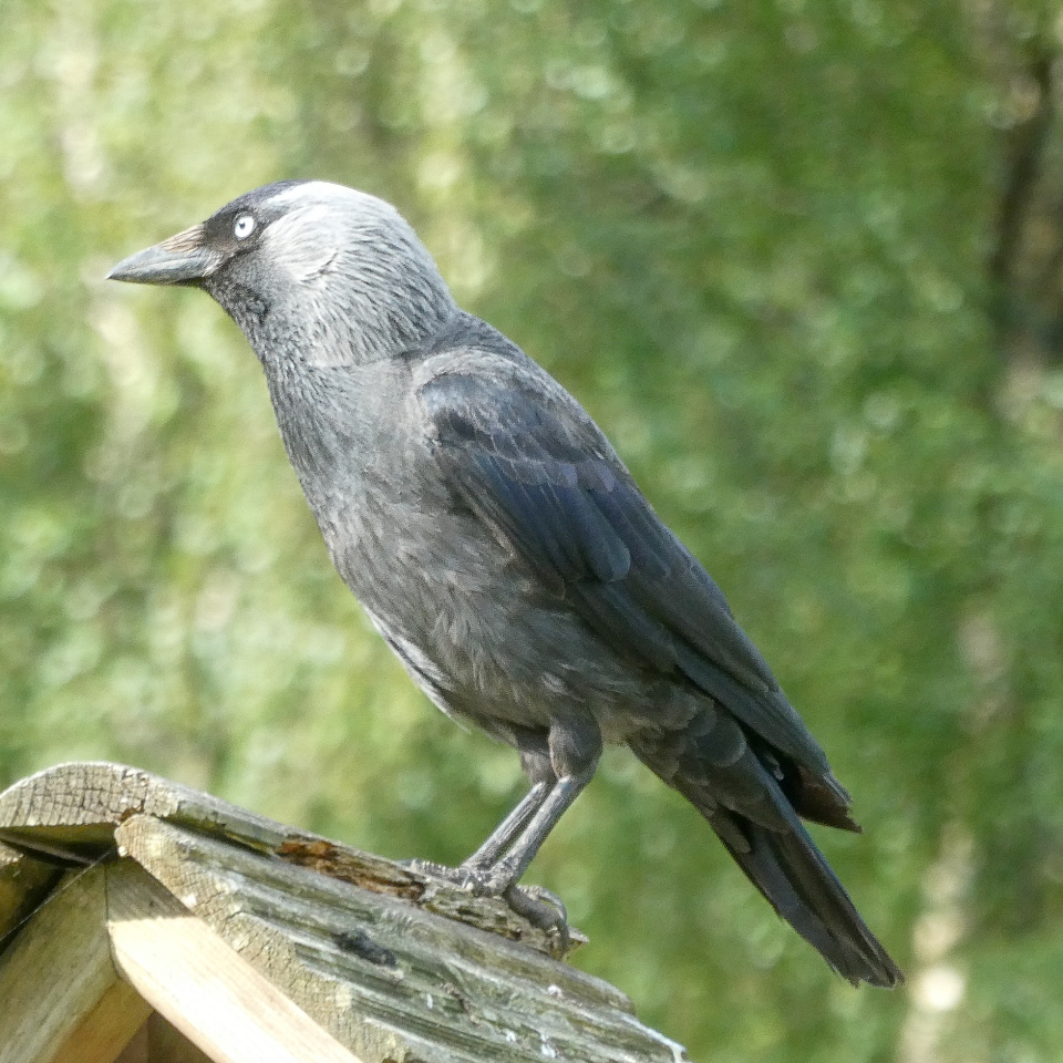 Waiting | CherryR | Blipfoto