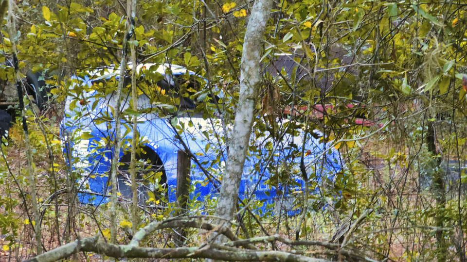 Half | bugsman | Blipfoto