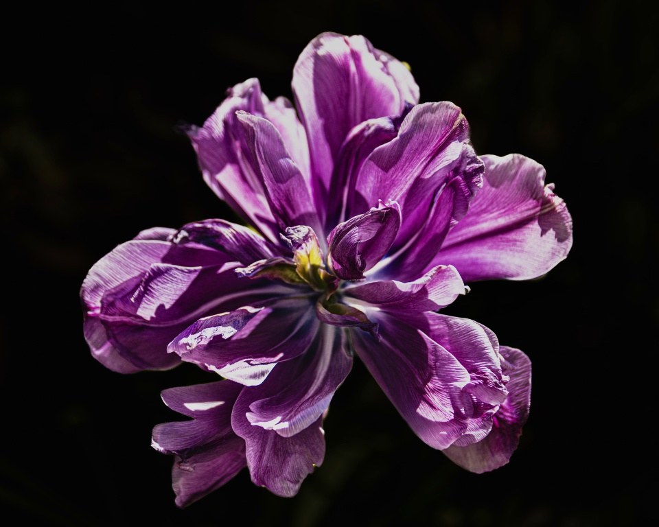 Hanging on …. | maureen6002 | Blipfoto