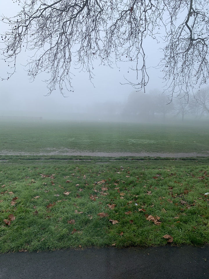 FRIDAY FOG | diplomaticdiva | Blipfoto