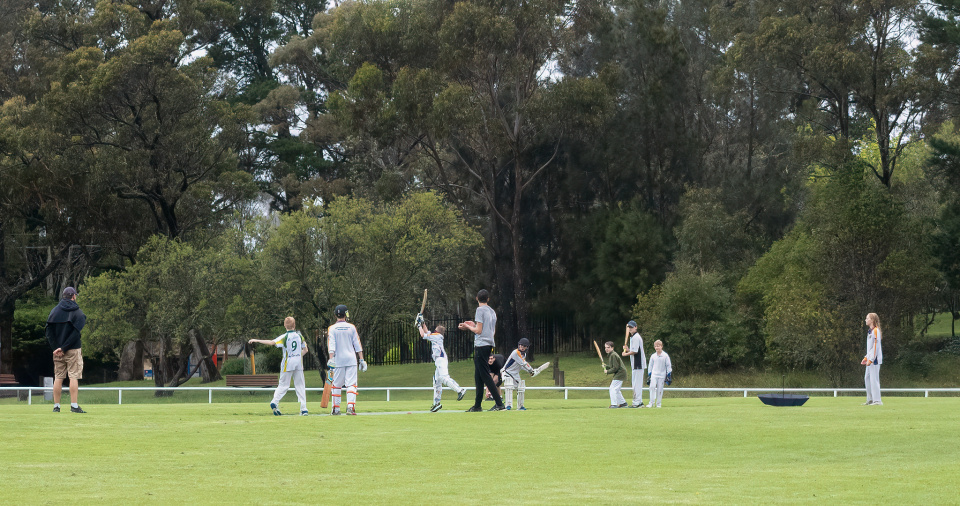 Silly Cricket | isbi | Blipfoto