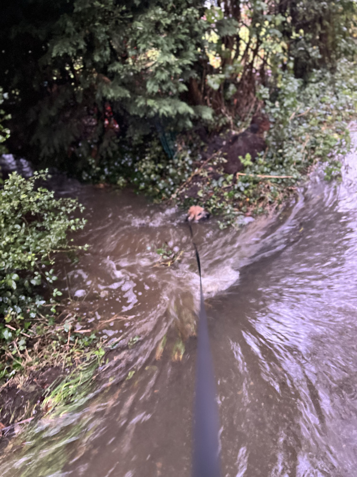 Drama | Hillyblips | Blipfoto