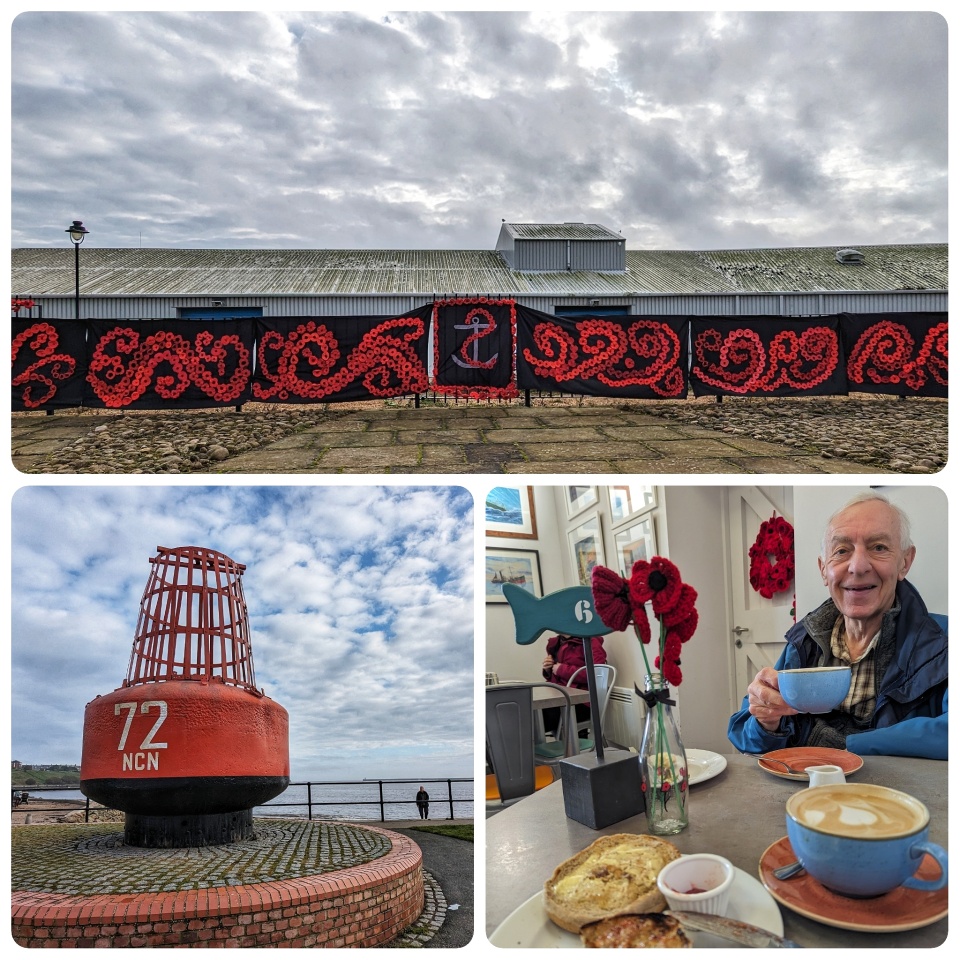 Poppies galore... | 60plus11 | Blipfoto