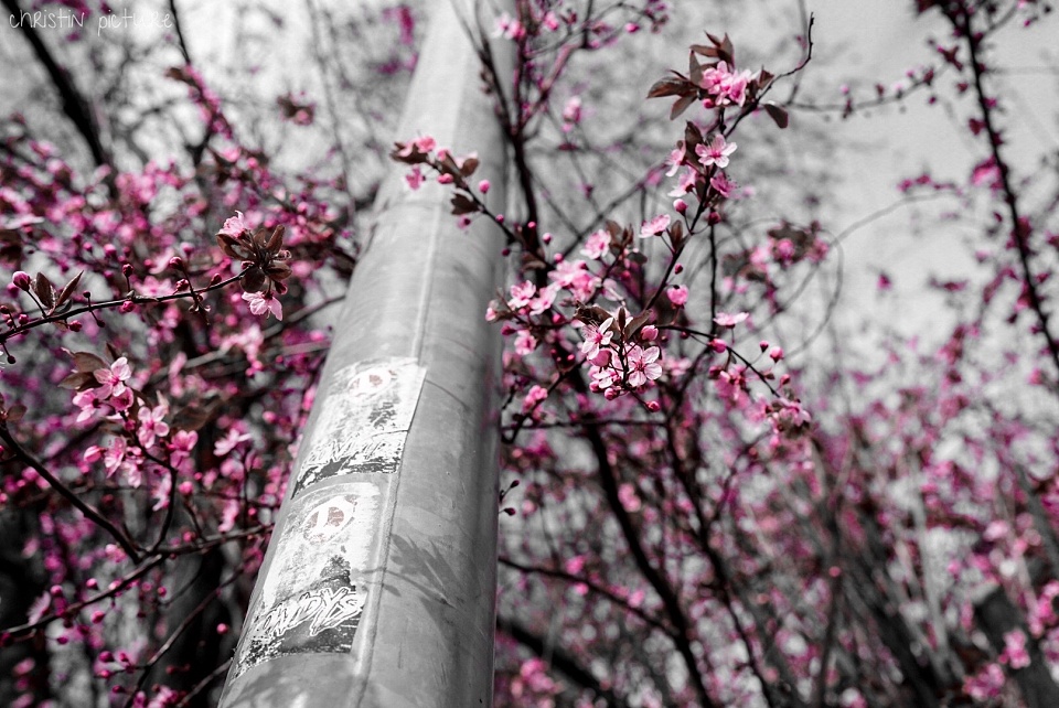 Time... | chrissel | Blipfoto
