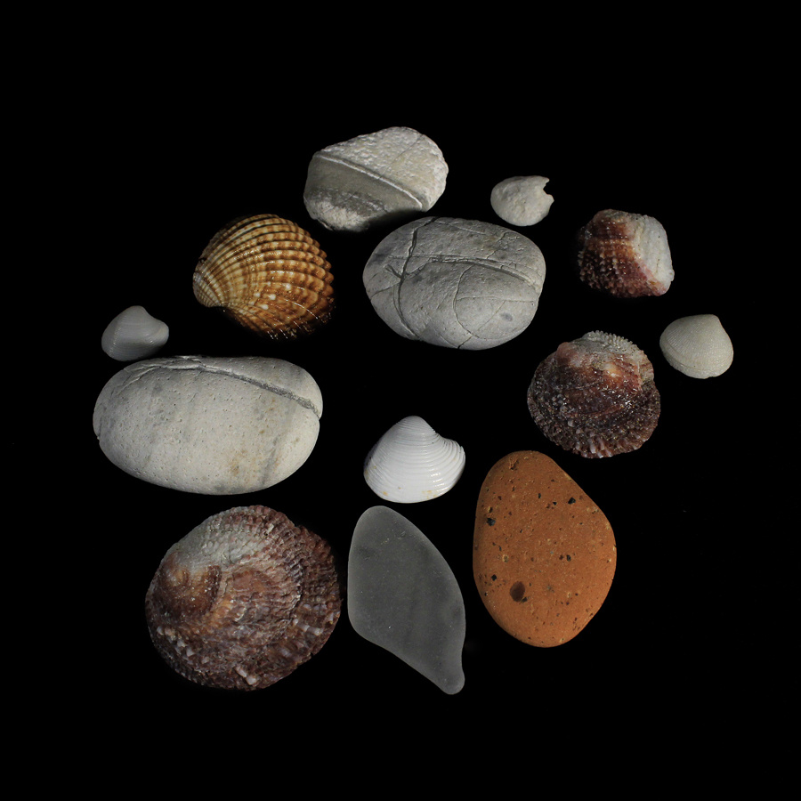 Shells and Stones | joesblips | Blipfoto