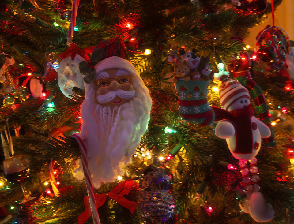 Ornaments | bugsman | Blipfoto