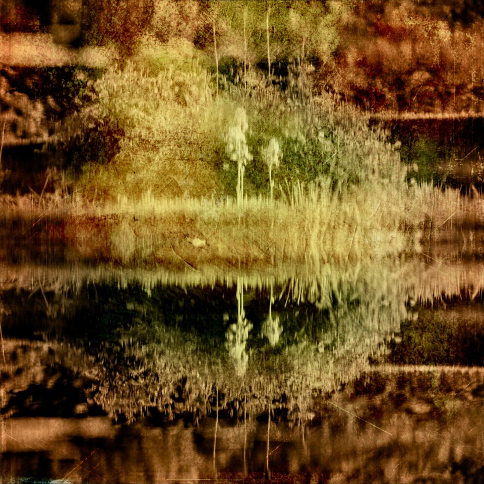 Reflections | maureen6002 | Blipfoto