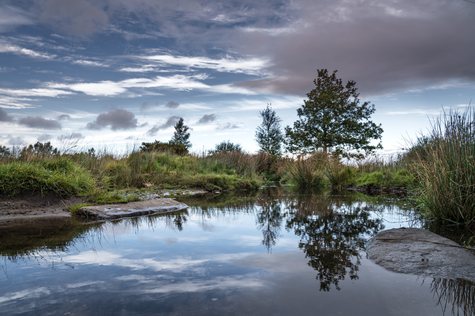 Lake, Puddle or Pond | Freyjad | Blipfoto