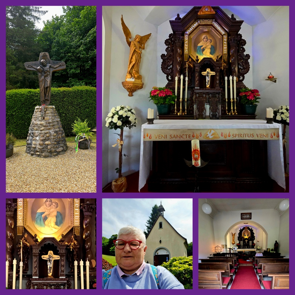Schoenstatt | snapper | Blipfoto