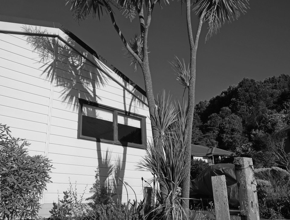 Mono Monday . . . Shadows | V1k1 | Blipfoto