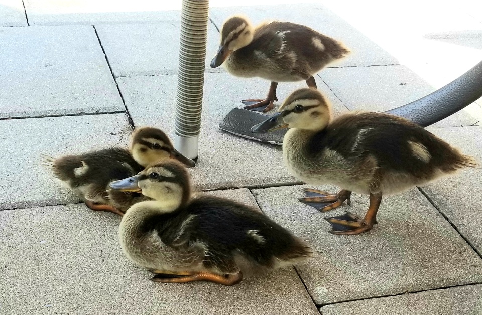 The competition is over! | Naturelover | Blipfoto