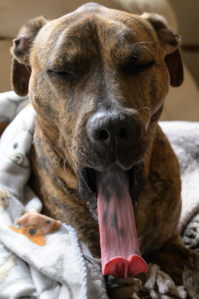 Shocking | dbifulco | Blipfoto