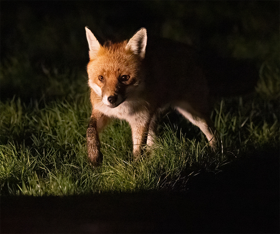 Muddy Waters | Hillyblips | Blipfoto