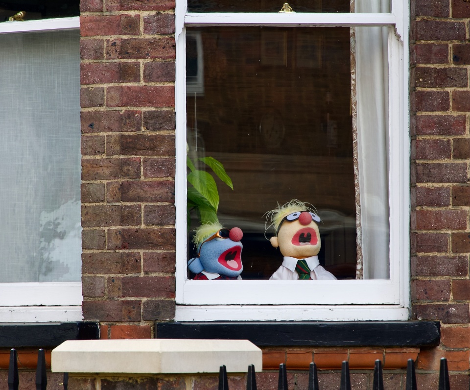 I'm being watched | AndrewNZ | Blipfoto